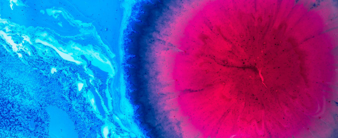 Xintra - PHP Tailwind CSS Premium Admin & Dashboard Template